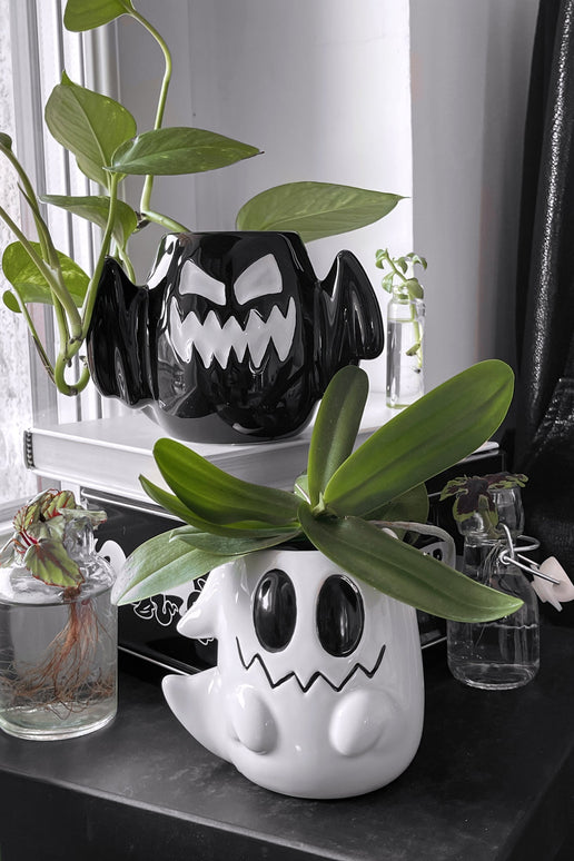 DECOR | Killstar