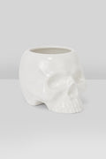 Cranium Planter | Killstar